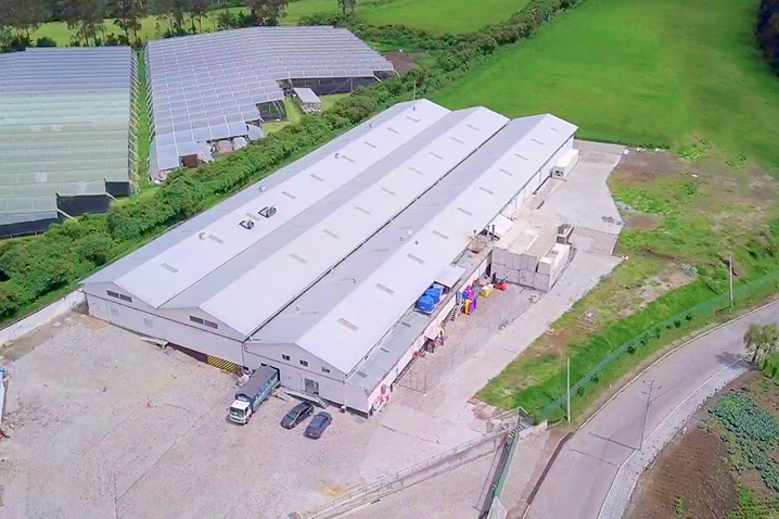 Reserva una llamada con Healthy Food - Co-creamos juntos